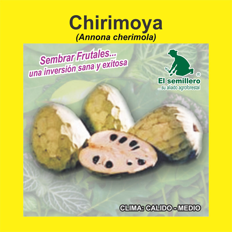 Chirimoya | Venta de semillas frutales El Semillero